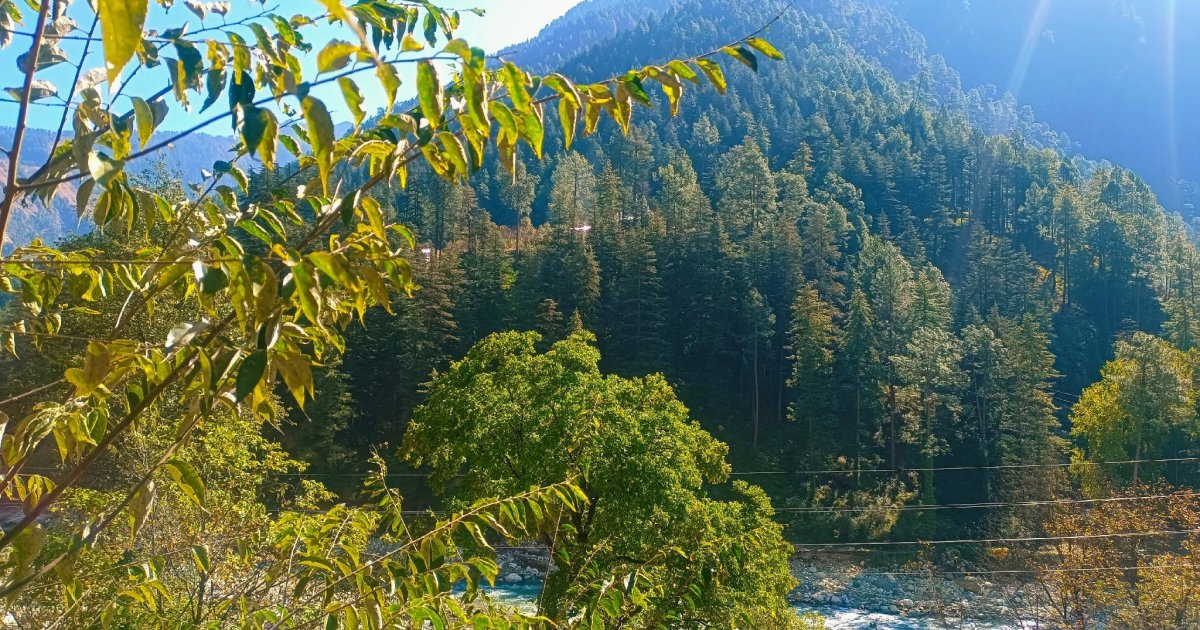 Apple Garden katagla Kasol in Kullu | 2025 Updated prices, deals ...