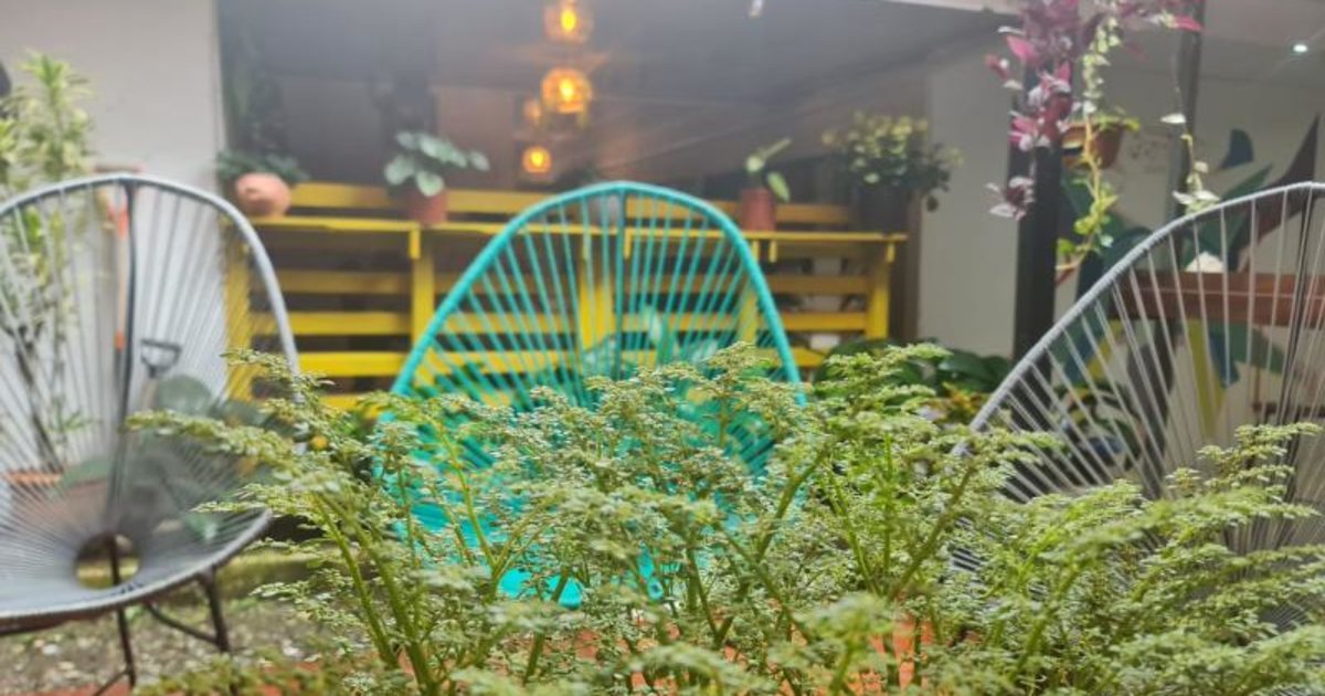 SantaFe Hostel in La Fortuna | 2025 Updated prices, deals - Klook ...