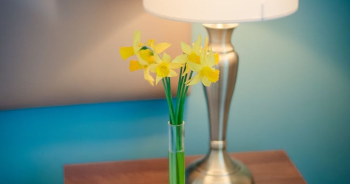 IMI Conference Centre & Residence in County Dublin | 2026 Updated ...