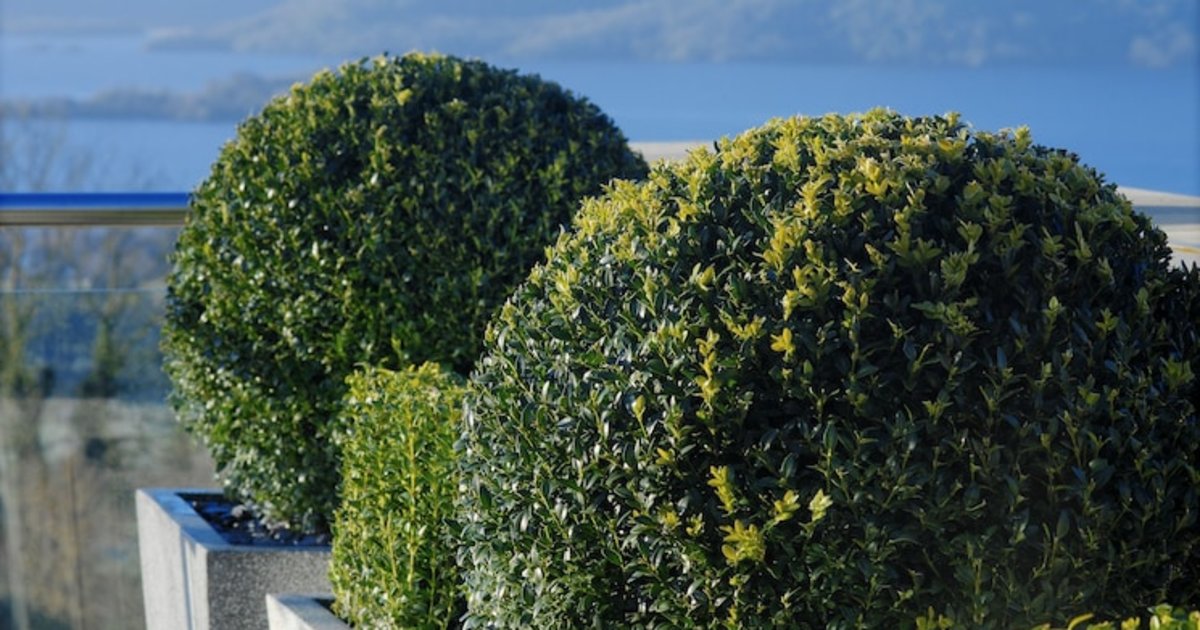 Aghadoe Heights Hotel and Spa in Kerry | 2025 Updated prices, deals ...