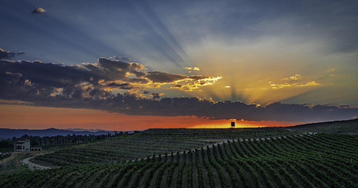 Europa Village Wineries and Resort in | 2025 Updated prices, deals ...