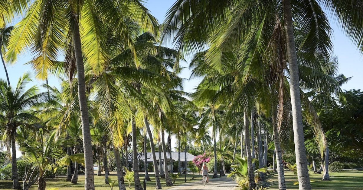 Musket Cove Island Resort in Fiji | 2025 Updated prices, deals - Klook ...