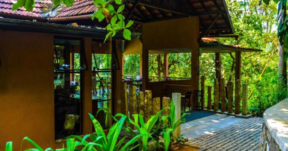 Rainforest Boutique Resort in Ernakulam | 2025 Updated prices, deals ...