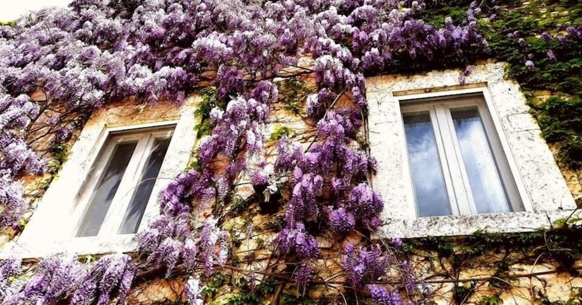 Parco dei Manieri in Conversano | 2025 Updated prices, deals - Klook ...