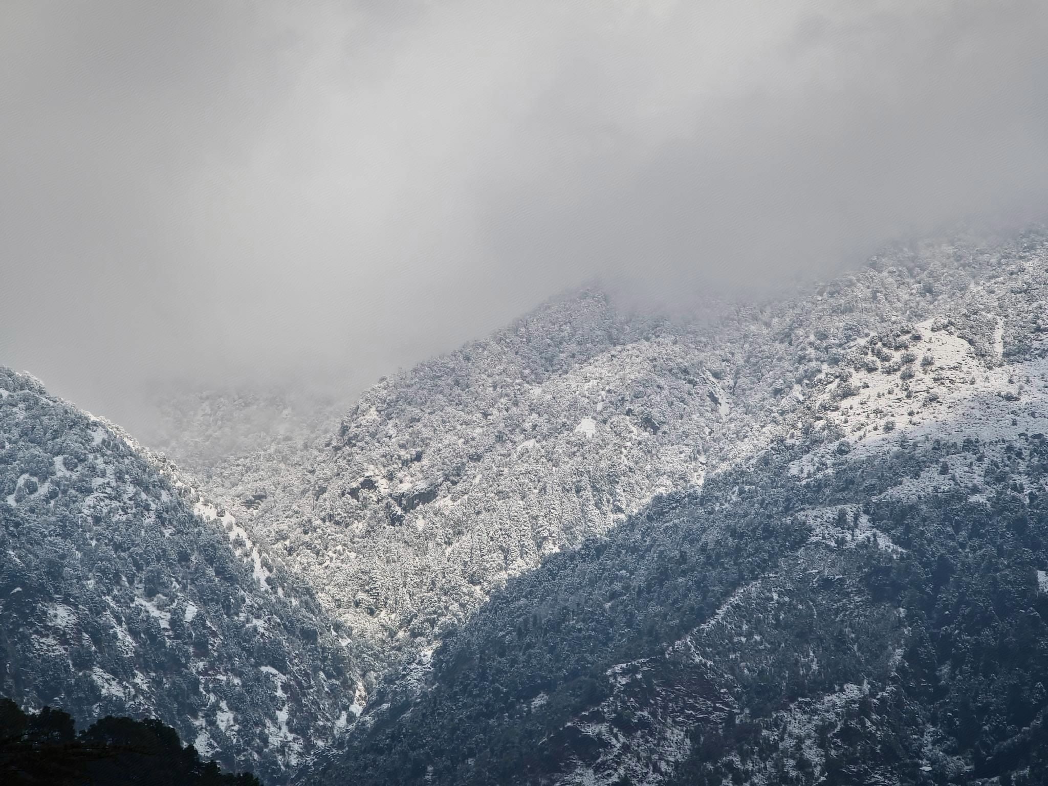 River View homestay in Kangra | 2025 Updated prices, deals - Klook ...