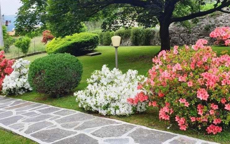Easy Welcome Ca Bearly in Sormano | 2025 Updated prices, deals - Klook ...