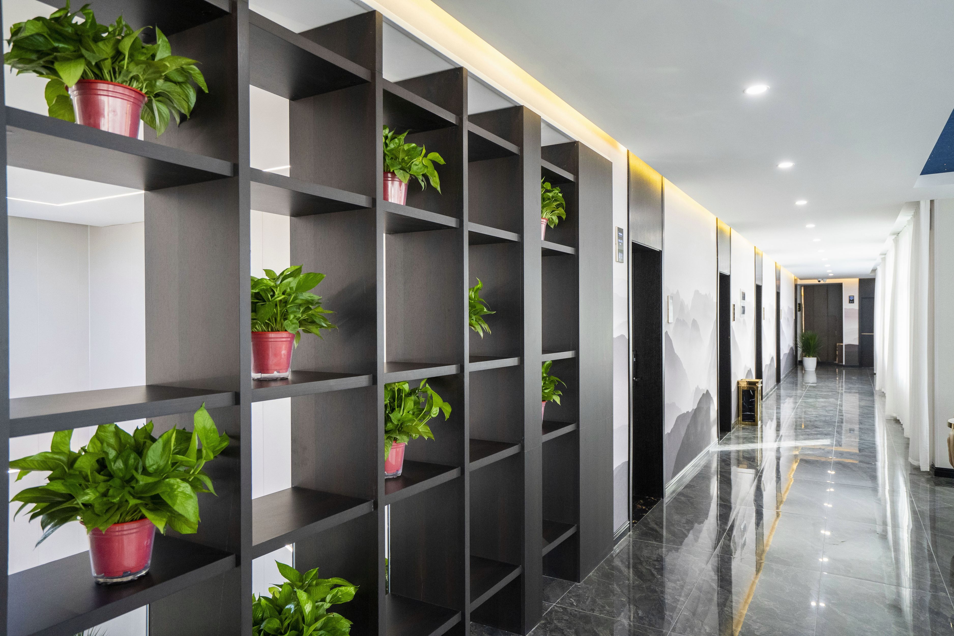 丽馨三棵树酒店 in Weinan City | 2024 Updated prices, deals - Klook United States