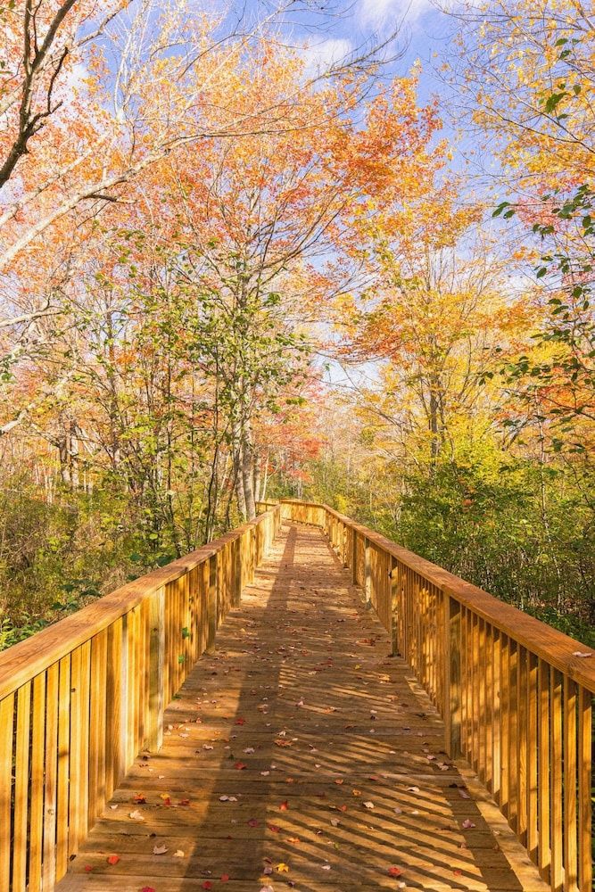 Terramor Outdoor Resort in | 2024 Updated prices, deals - Klook United ...