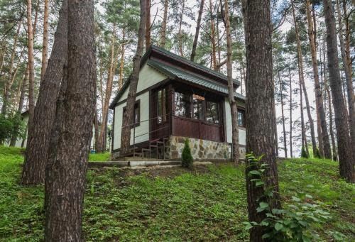 Complex Parc Pini Moinesti in | 2025 Updated prices, deals - Klook ...