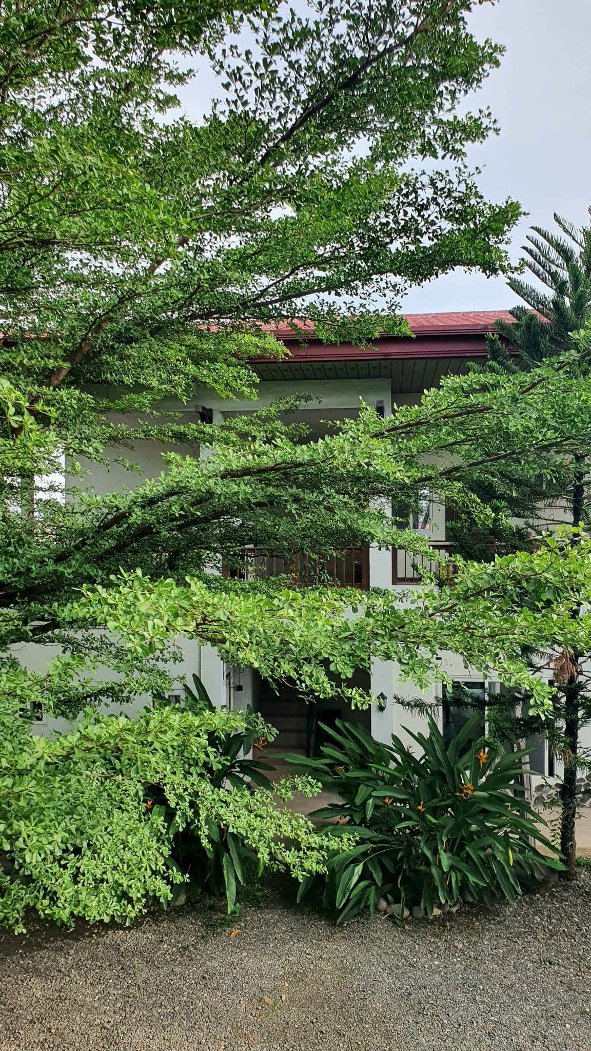 Da West Inn in Davao | 2025 Updated prices, deals - Klook United States