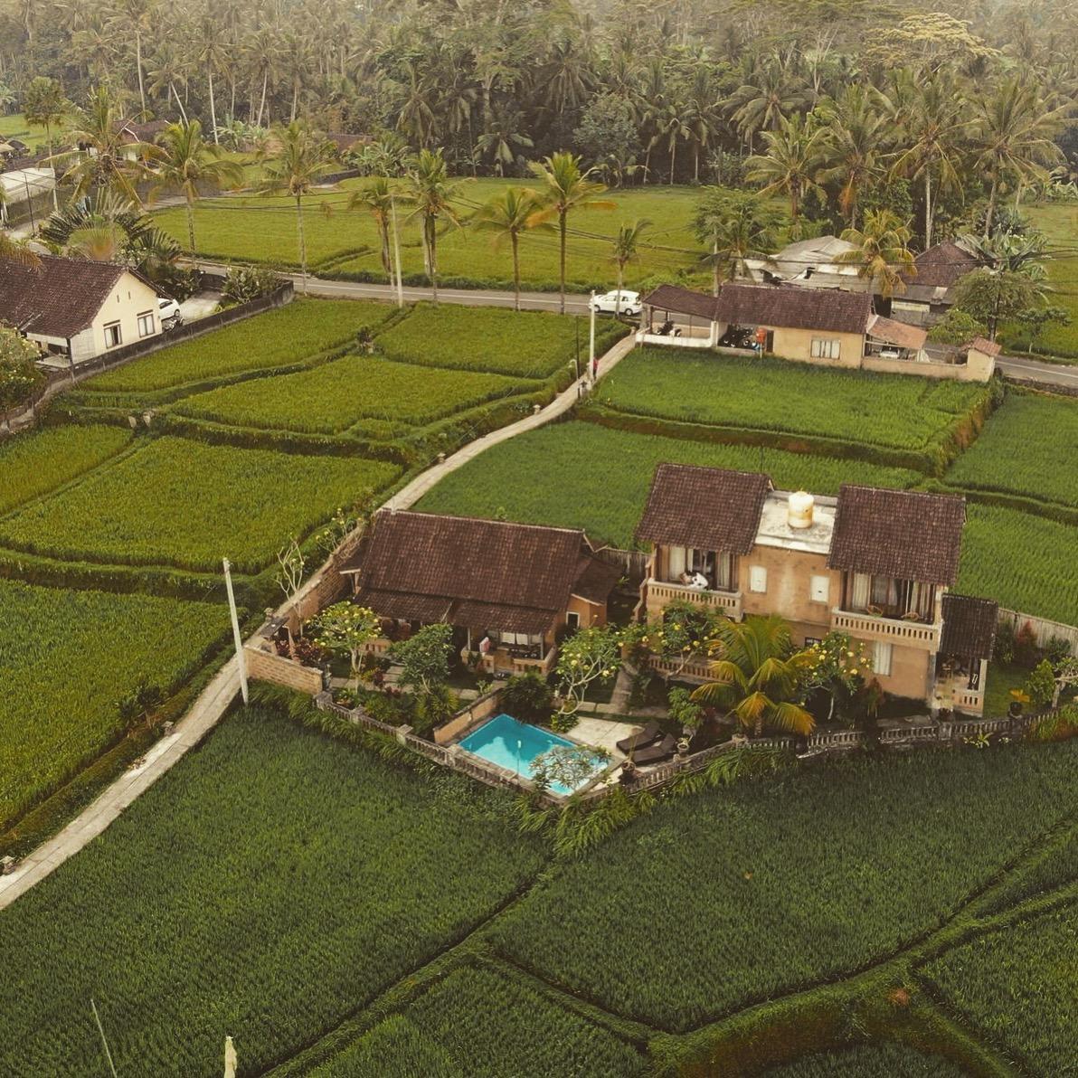 Ujung Ubud Guesthouse in Ubud | 2024 Updated prices, deals - Klook ...