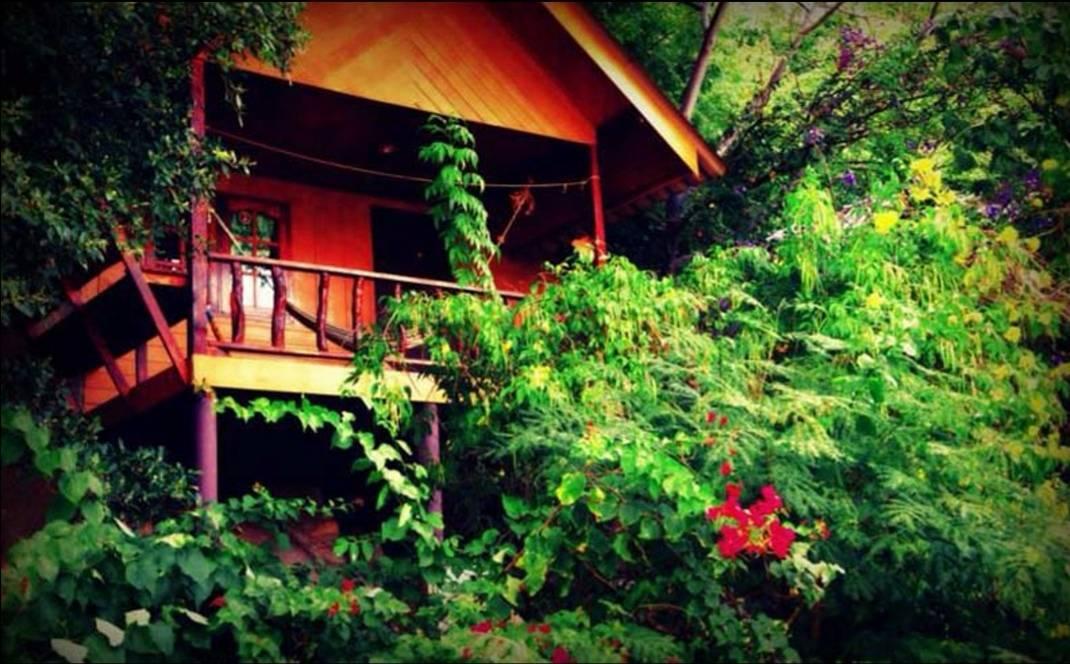 Taraporn Resort in Surat Thani Province | 2024 Updated prices, deals ...