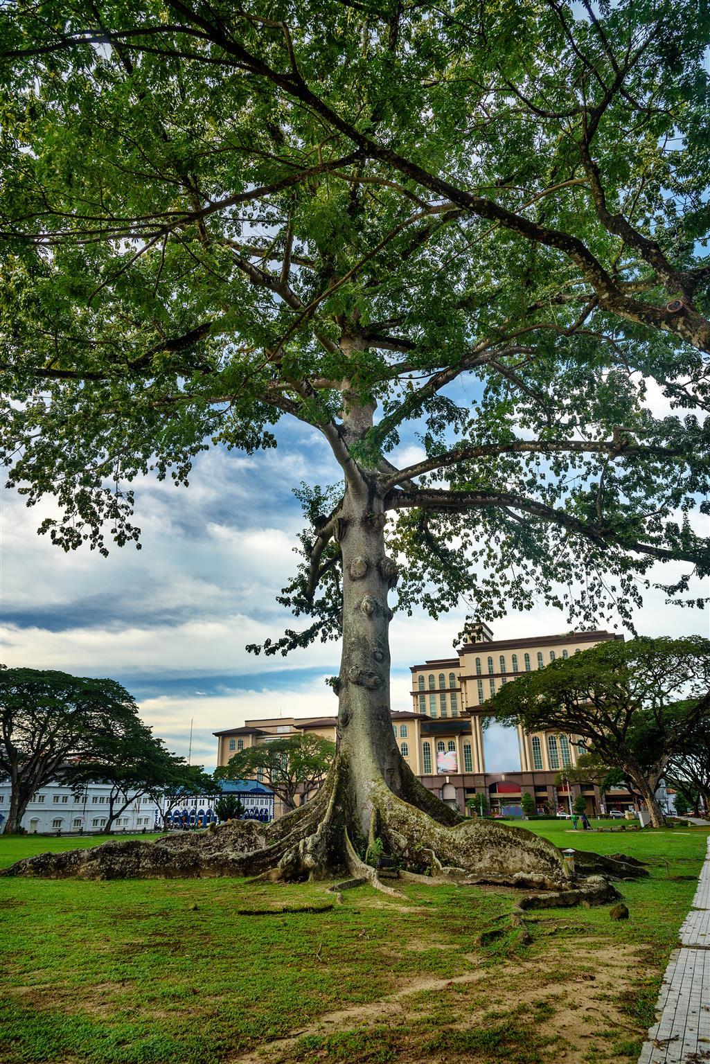 Kozi Square New SGH Cozy Home LV9A in Kuching | 2024 Updated prices ...