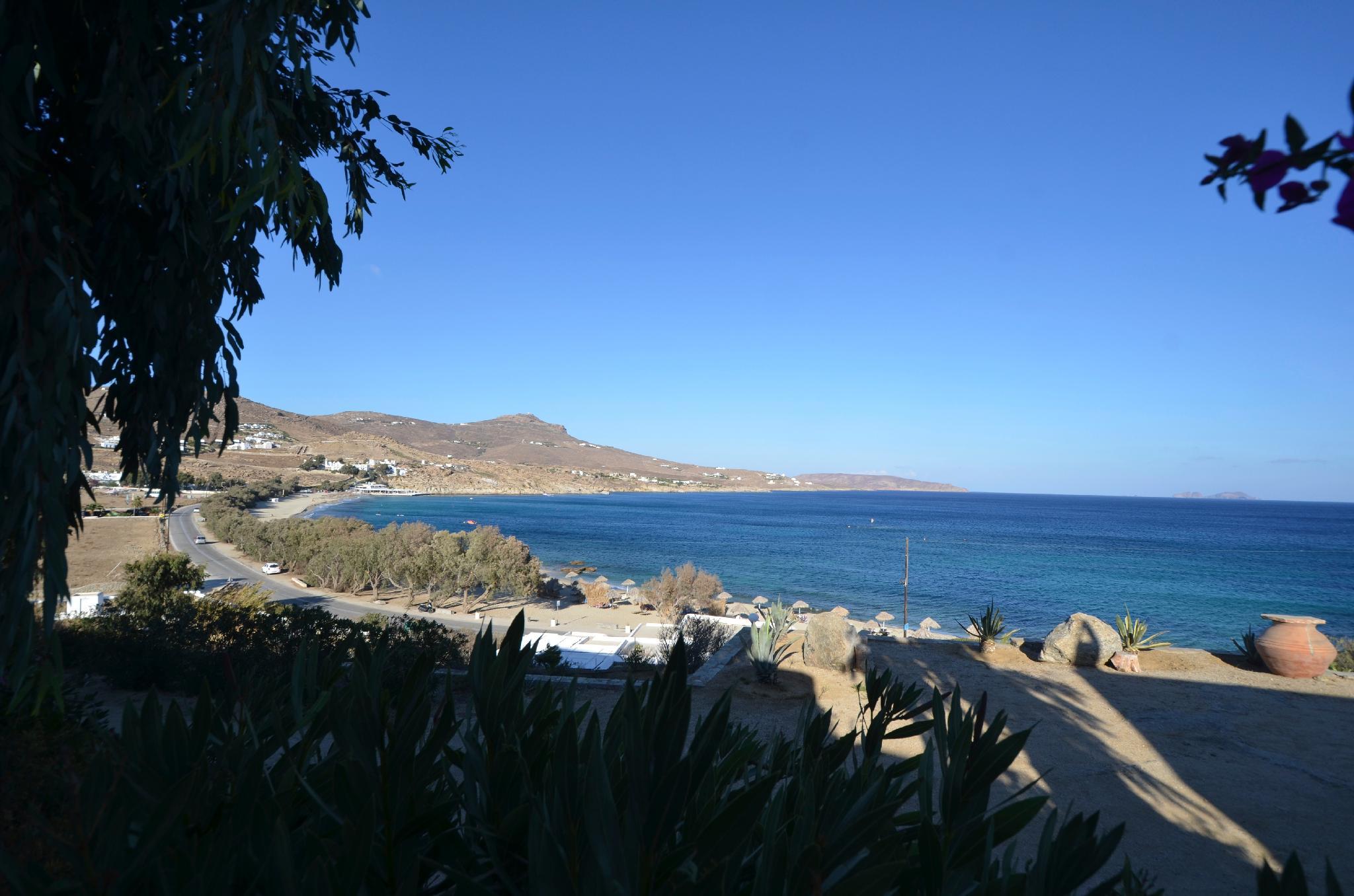 Villas Kalafatis Apartments in Municipality of Mykonos | 2024 Updated ...