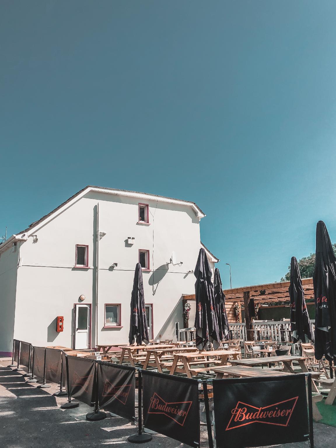 The Dutch Tulip Mallow in null | 2023 Updated prices, deals - Klook ...