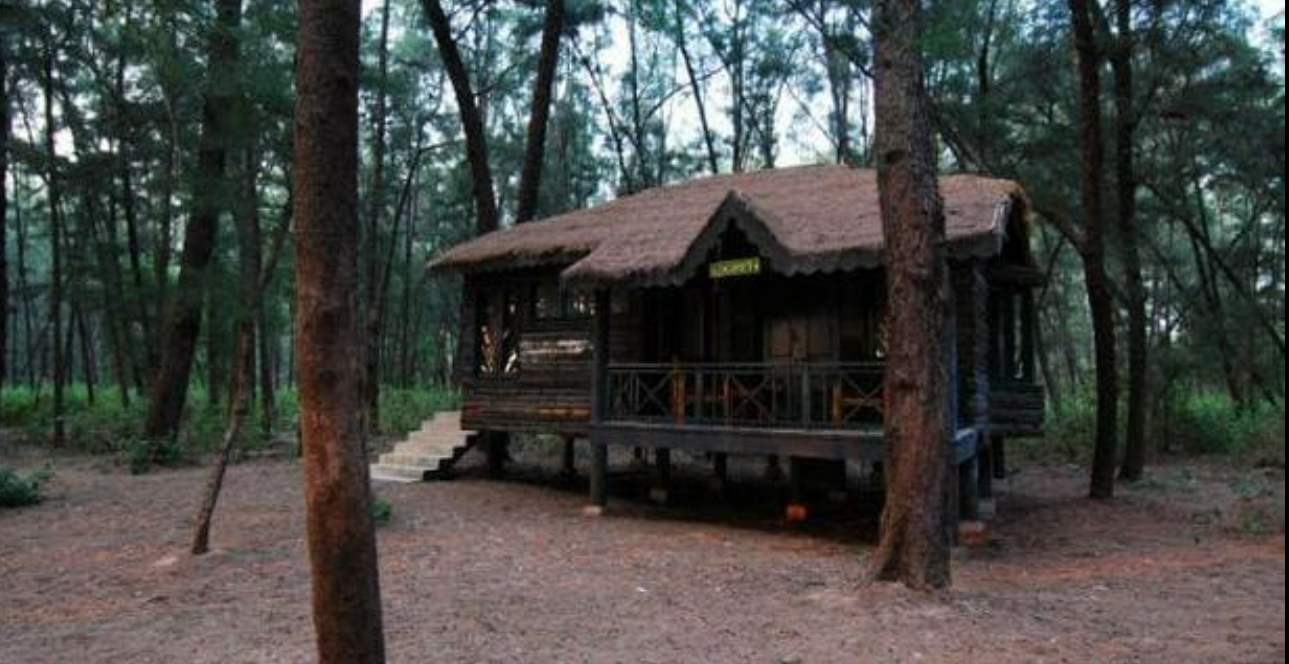 Devbagh beach resort - Junglelodges in Uttara Kannada | 2024 Updated ...