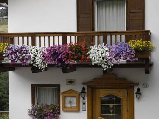 Debra Park Hotel in Comun General de Fascia | 2023 Updated prices ...