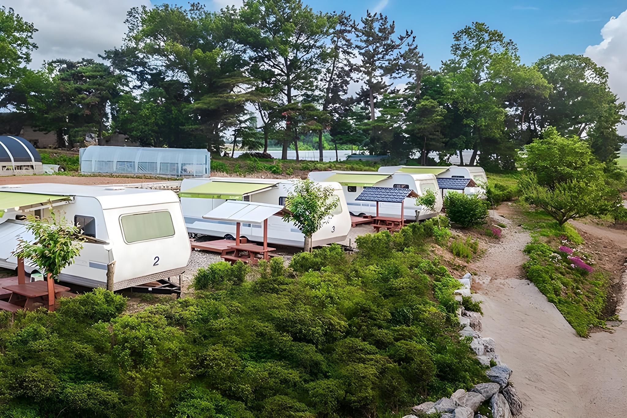 Club Lespia in Sapgyo Ocean Park in Chungcheongnam-do | 2025 Updated ...