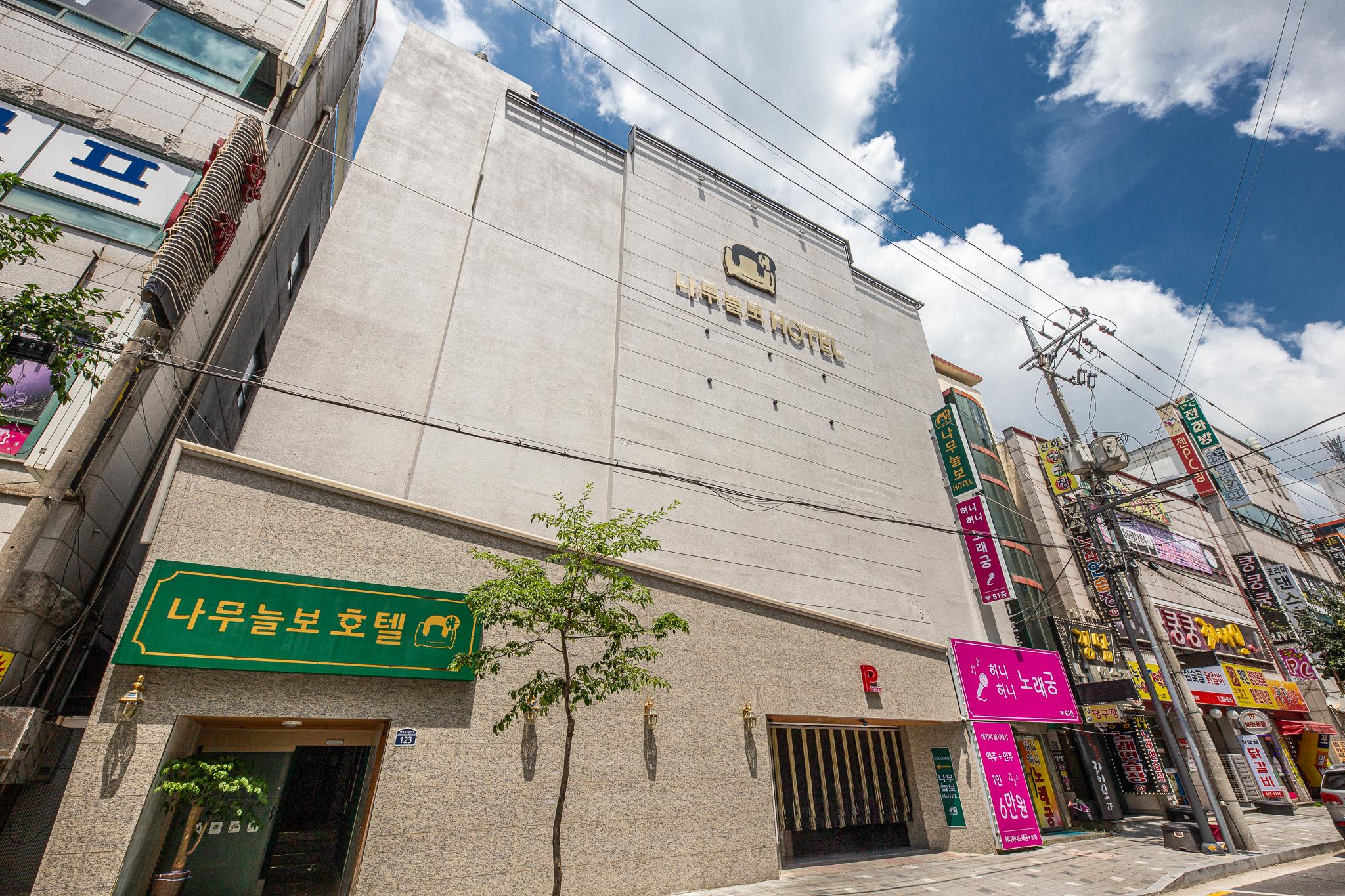 忠清北道Cheongju Yongam Sloth Hotel｜2025年最新訂房優惠價 - Klook 客路台灣