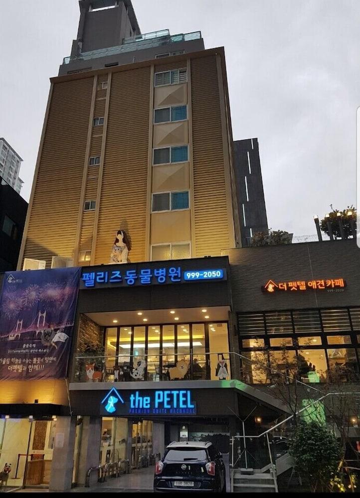 The Petel Premium Suite in Busan | 2025 Updated prices, deals - Klook ...
