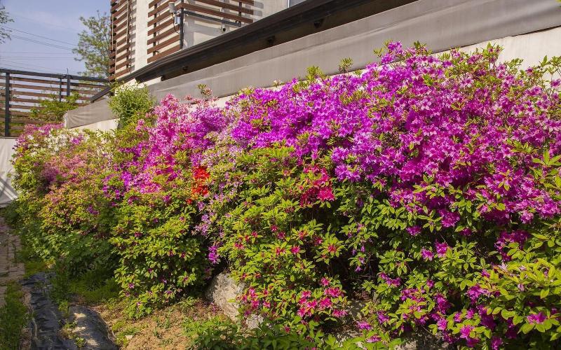 Eumseong Black and White in Chungcheongbuk-do | 2024 Updated prices ...