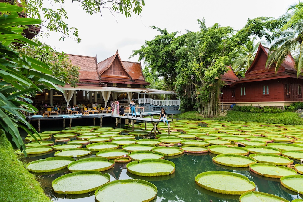 Ma Doo Bua Phuket (มาดูบัวภูเก็ต) in Phuket Province | 2025 Updated ...