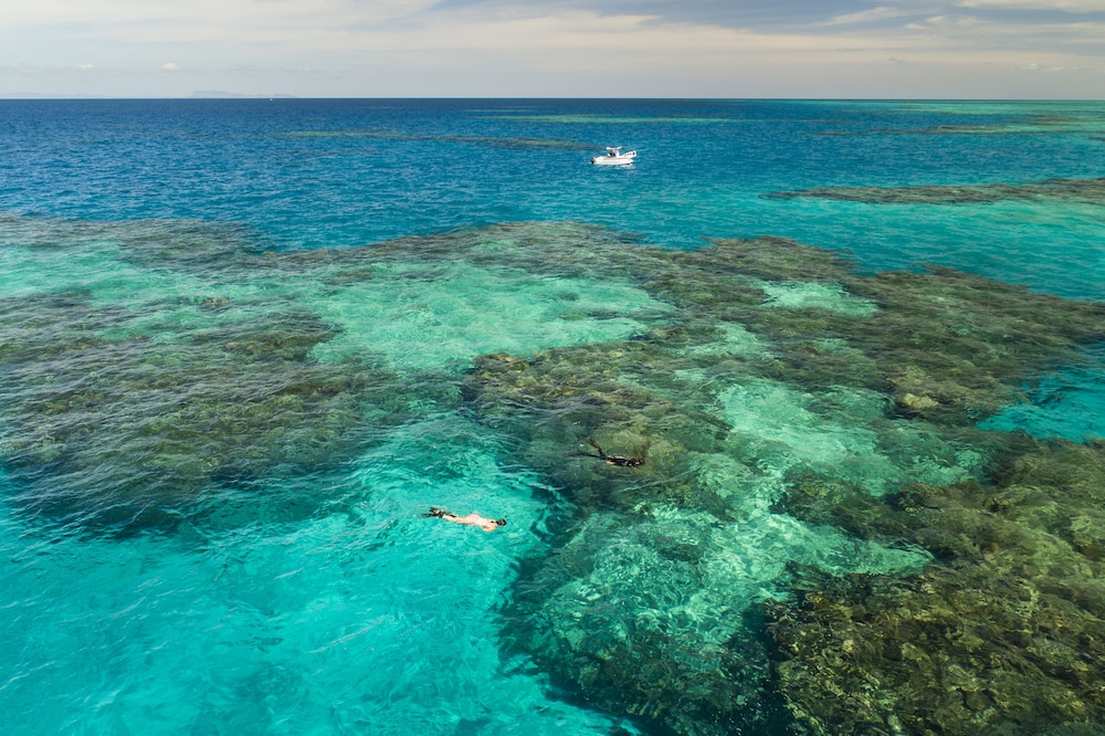 Nukubati Great Sea Reef in Fiji | 2025 Updated prices, deals - Klook ...
