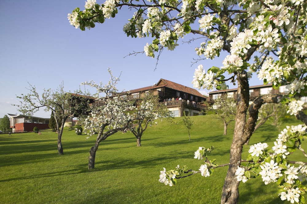 Green Hotel in Leksands kommun | 2025 Updated prices, deals - Klook ...