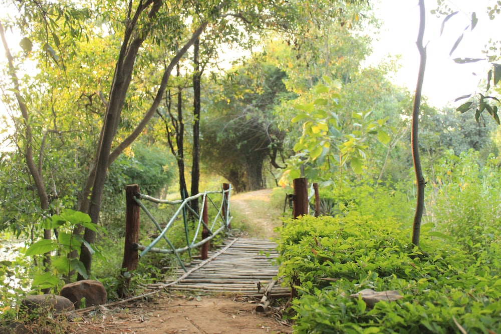 Tiger Trails Resort in Umaria | 2023 Updated prices, deals - Klook ...