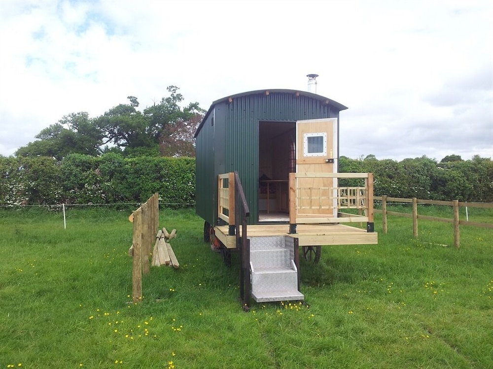 Bluebell Farm in | 2025 Updated prices, deals - Klook International site