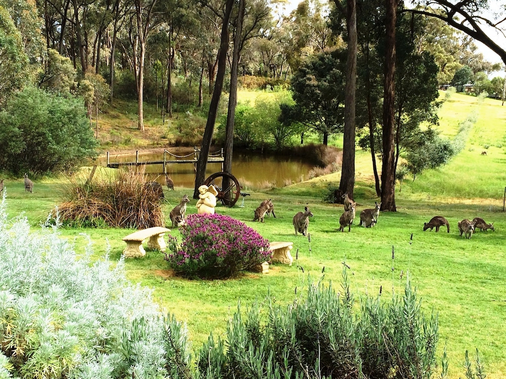 Countryside Connections Tranquil Studio in | 2025 Updated prices, deals ...