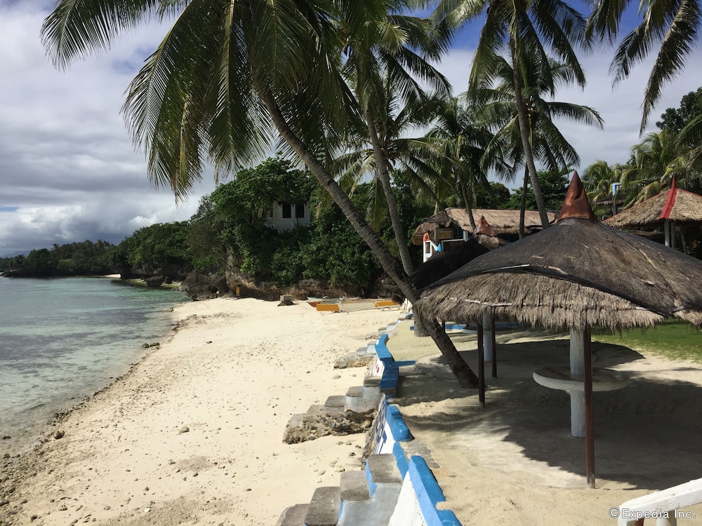 FloWer Beach Resort in Anda | 2024 Updated prices, deals - Klook United ...