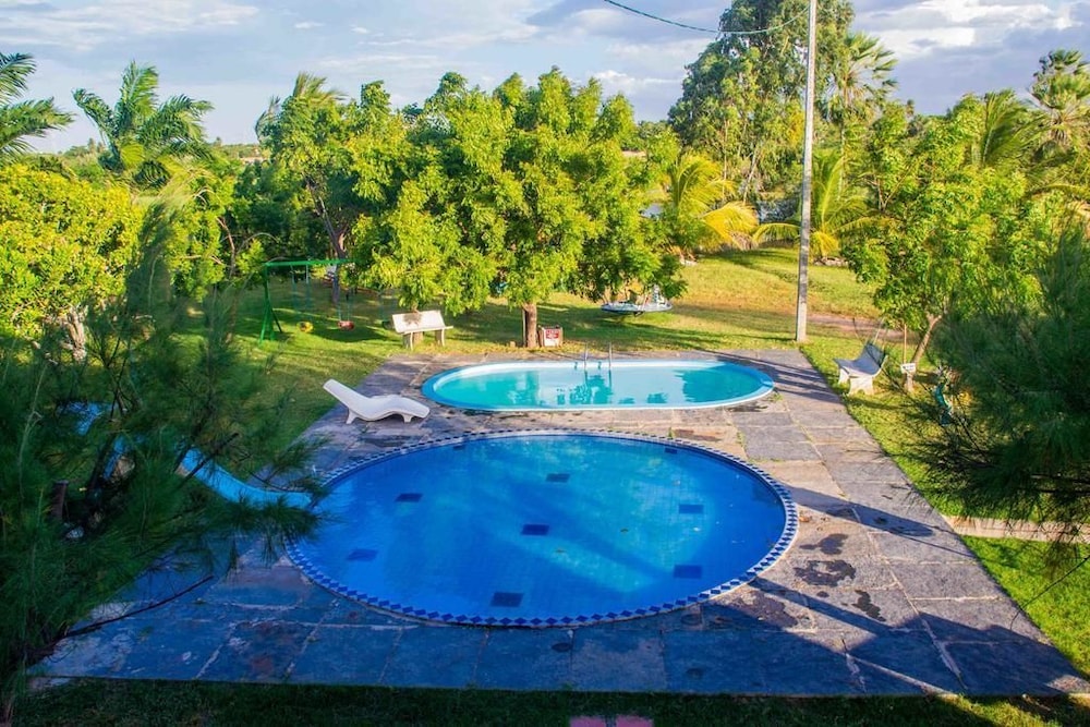 Delta Park in | 2025 Updated prices, deals - Klook United States
