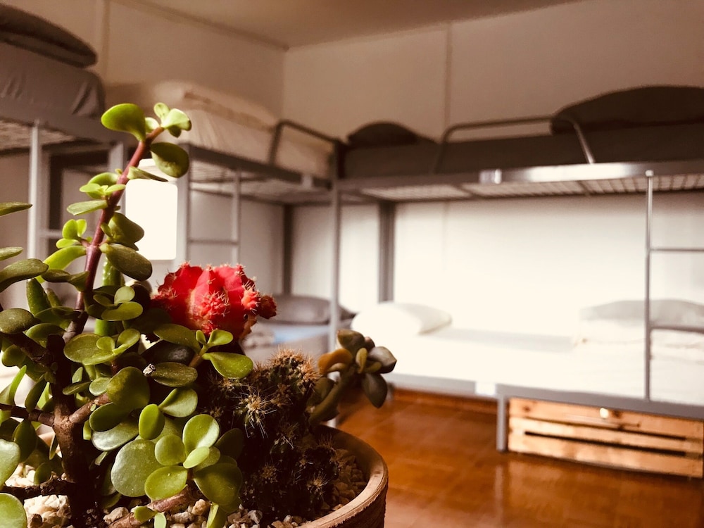 Al Yakhour Hostel in Haifa | 2025 Updated prices, deals - Klook United ...