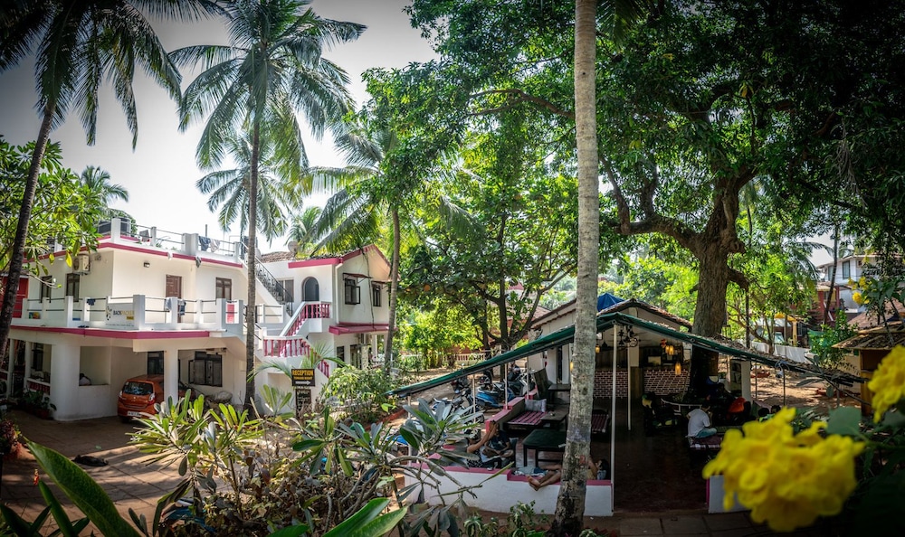 Backpacker Panda Goa in North Goa | 2024 Updated prices, deals - Klook ...