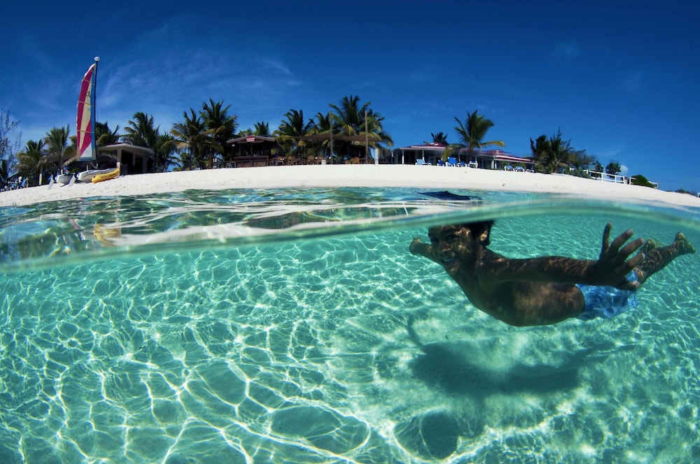 Bohio Dive Resort in | 2025 Updated prices, deals - Klook United States