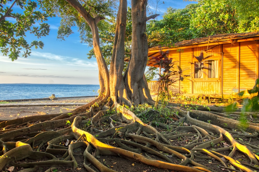 Mapia Resort in Pineleng | 2025 Updated prices, deals - Klook United States