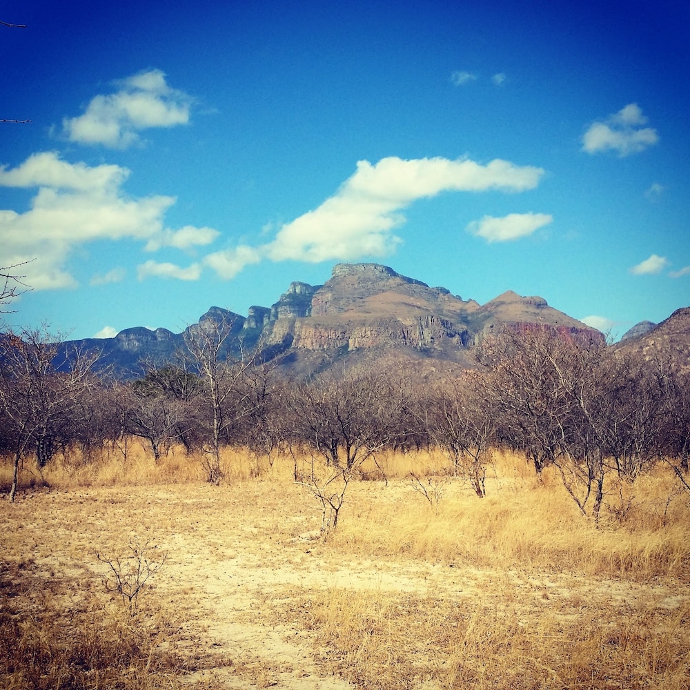 Mariepskop View in Mopani District Municipality | 2023 Updated prices ...