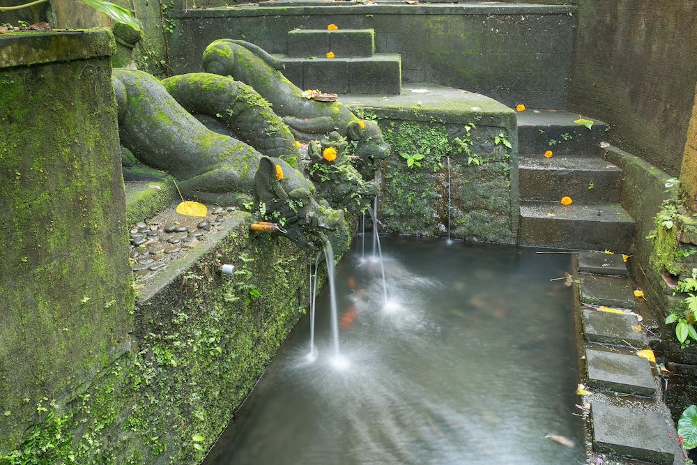 Bucu Beji Ubud in Ubud | 2025 Updated prices, deals - Klook United States