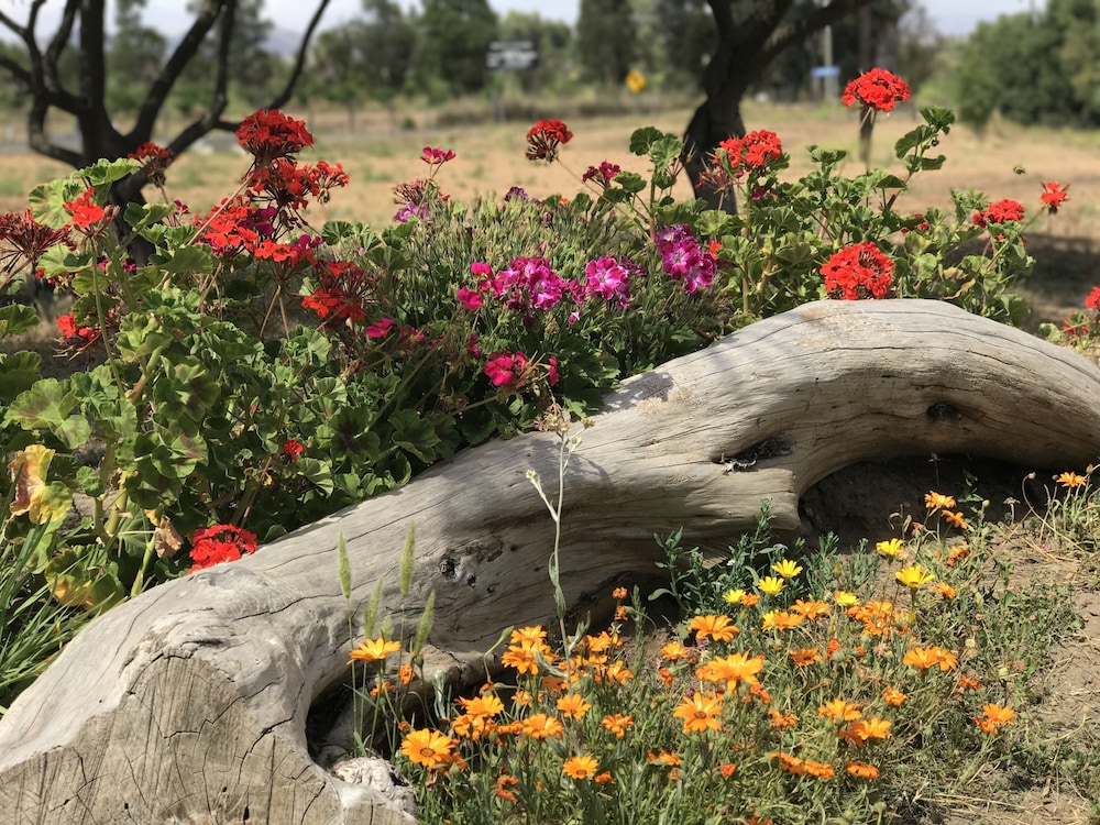 Cabaña Toros Pintos in | 2025 Updated prices, deals - Klook United States