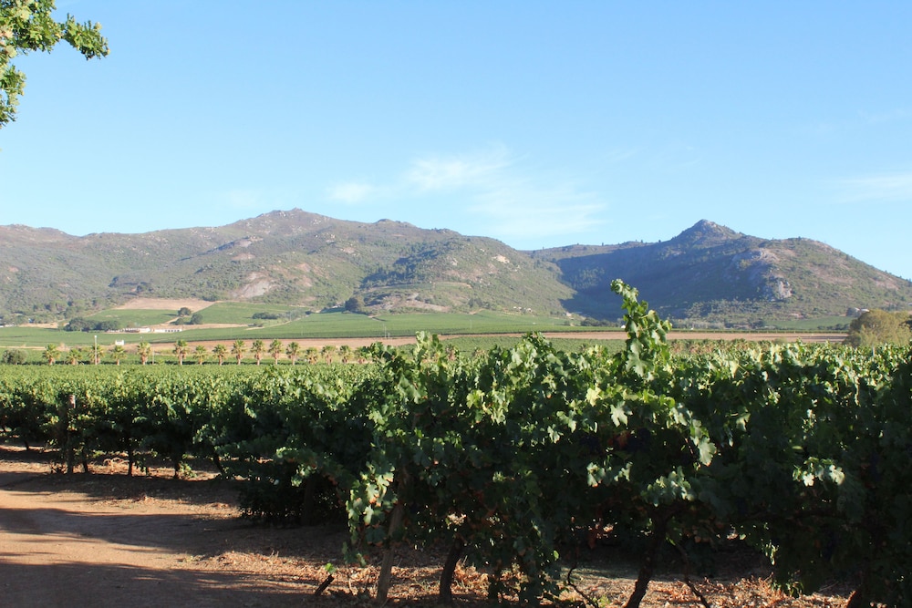 Moreson Guest Farm in Cape Winelands District Municipality | 2025 ...