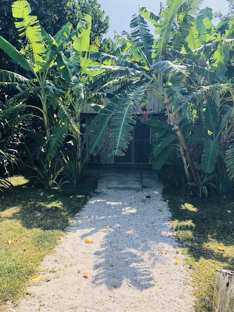 The Moso Vanuatu in | 2025 Updated prices, deals - Klook United States