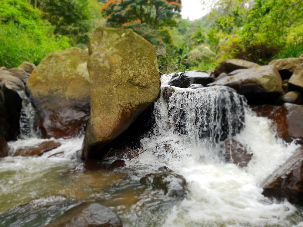 Ella River House in Ella | 2025 Updated prices, deals - Klook United States