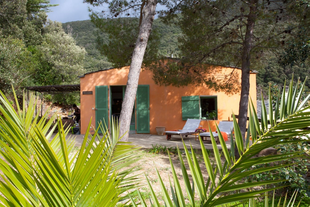 Les Gites du Cap Corse in | 2024 Updated prices, deals - Klook Singapore