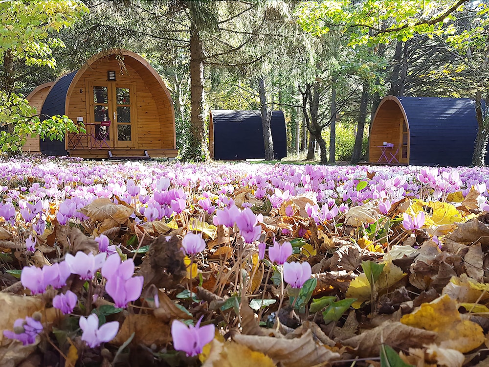 Les Cabanes des Chateaux in | 2025 Updated prices, deals - Klook United ...