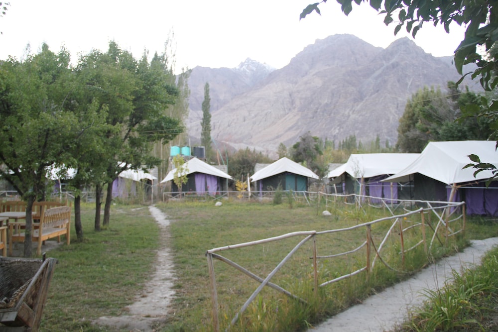 Dowa Deluxe Camp in Leh District | 2024 Updated prices, deals - Klook ...