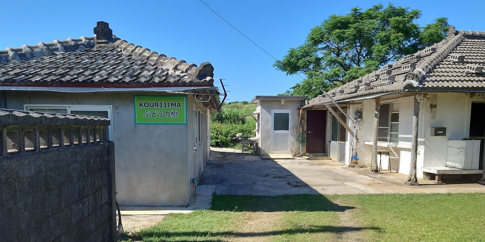 KOURIJIMA Budonoki in Kunigami | 2025 Updated prices, deals - Klook ...