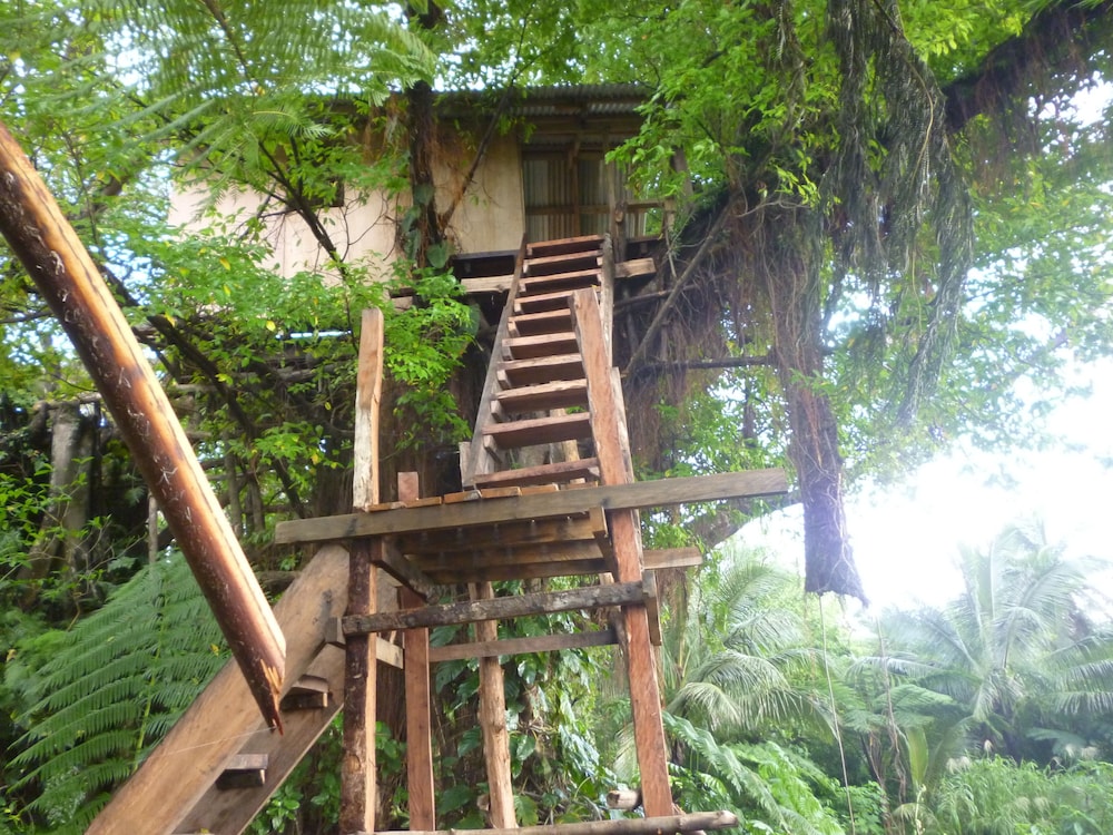 Castle Tree House in | 2025 Updated prices, deals - Klook United States