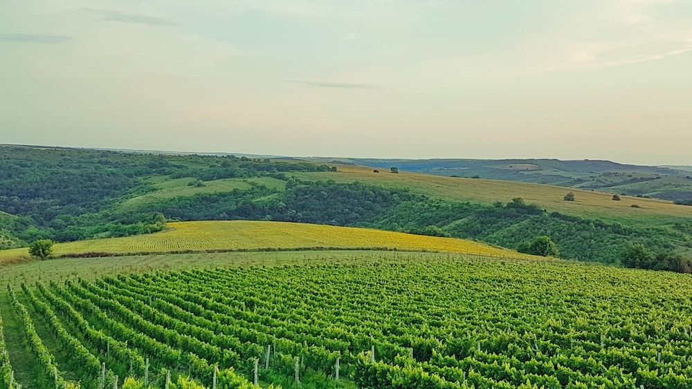 Seven Generations Winery Hotel & SPA in Ivanovo | 2024 Updated prices ...
