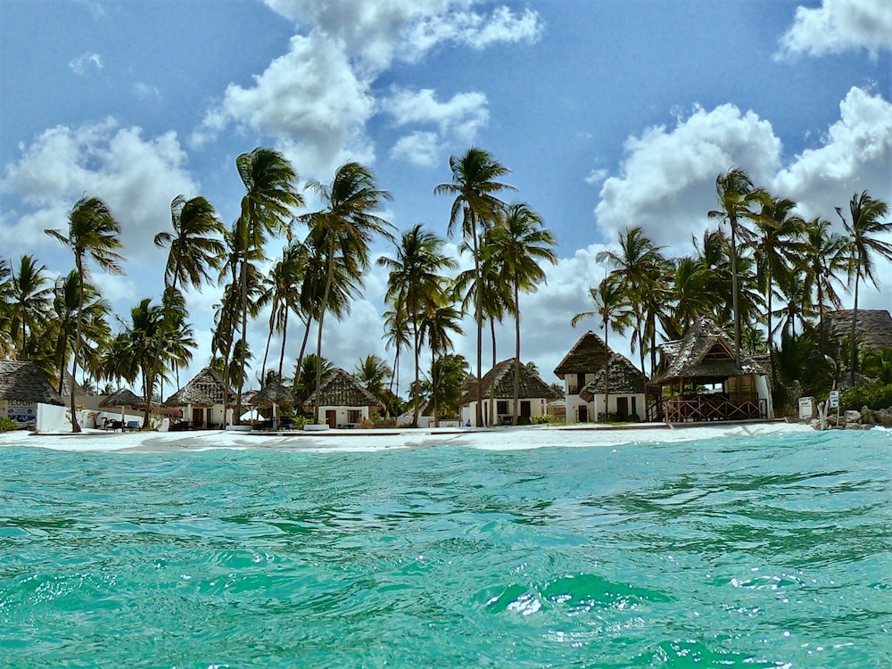 Savera Beach Houses in Zanzibar | 2024 Updated prices, deals - Klook ...